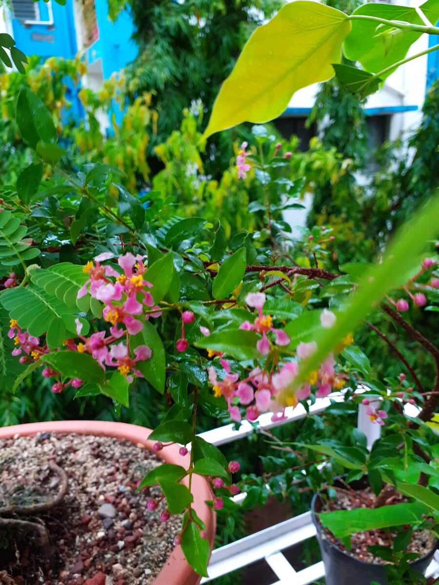 Spice of Life! – A khatta-meetha take on life around me through my ...